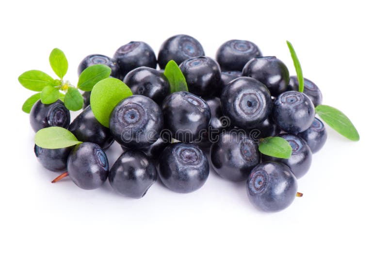 Mirtilos frescos imagem de stock. Imagem de objeto, nutritivo - 34412565