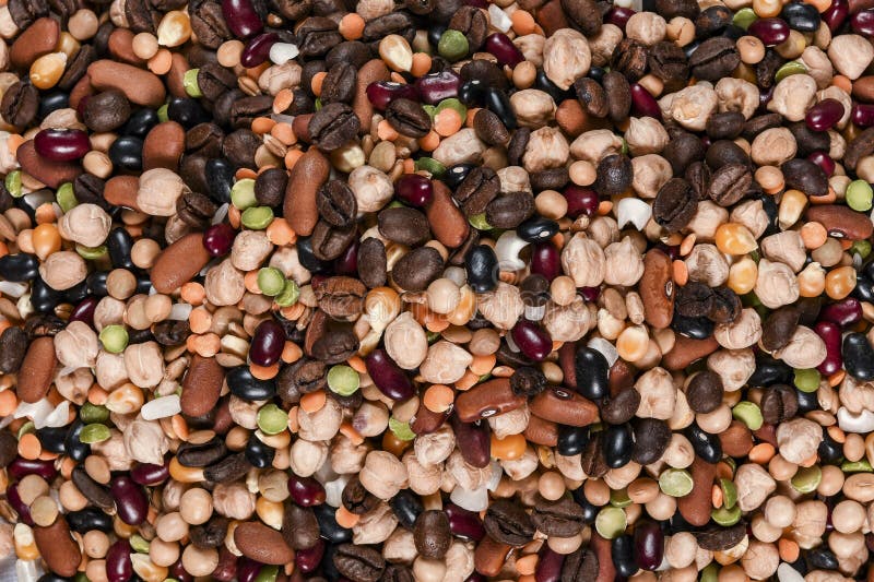 Miscellaneous Mixed Seeds in Pile Formed Background Texture Stock Image ...