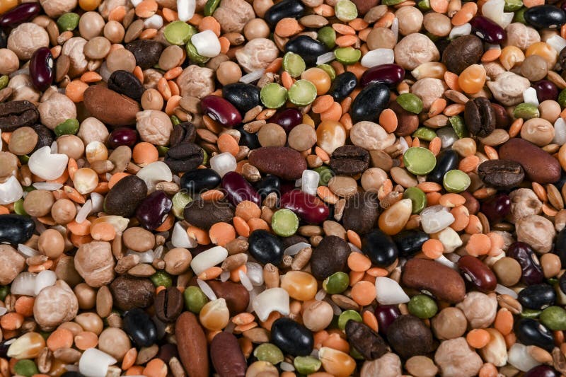 Miscellaneous Mixed Seeds in Pile Formed Background Texture Stock Image ...
