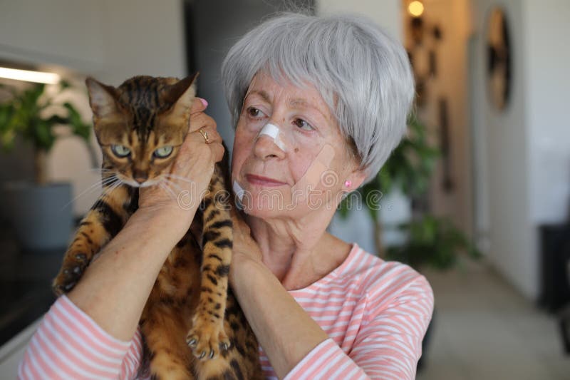 Mischievous Cat Scratching Owner´s Face Stock Image - Image of claw ...