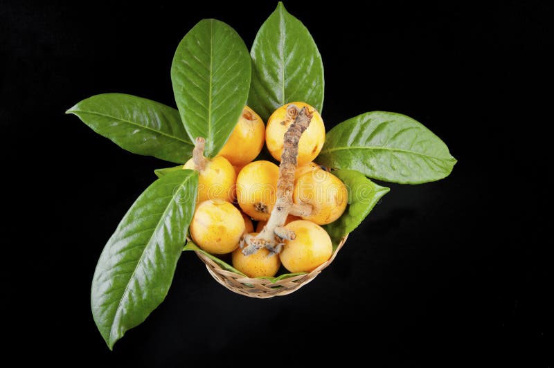 Mispeln stockbild. Bild von nahrung, orange, früchte - 25403343