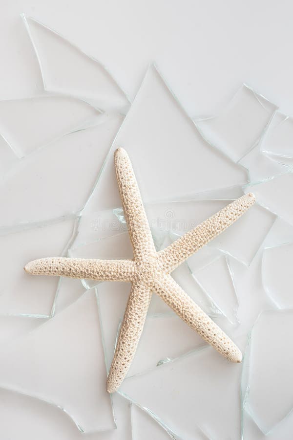 Misplaced Star Fish on Broken Glass Stock Image - Image of conceptual ...