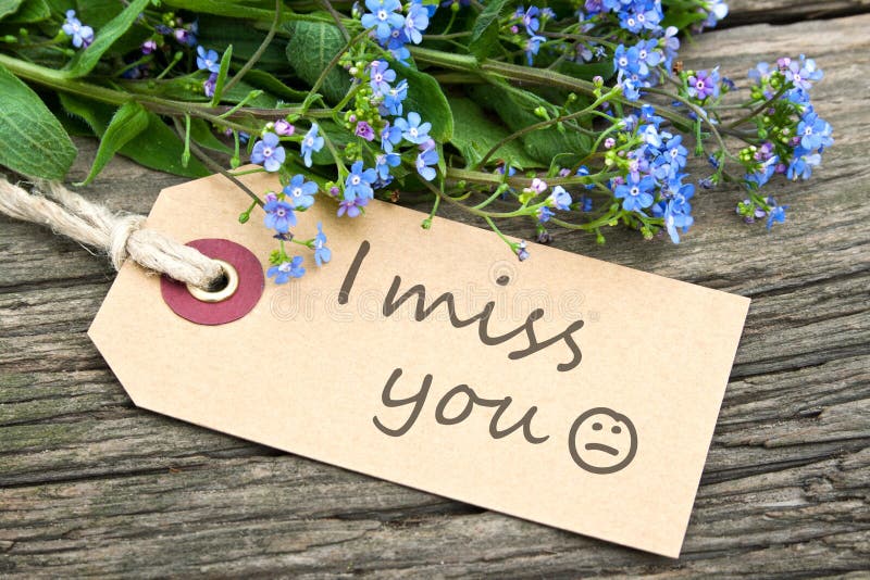 Label with Miss You stock image. Image of love, valentines - 37273017