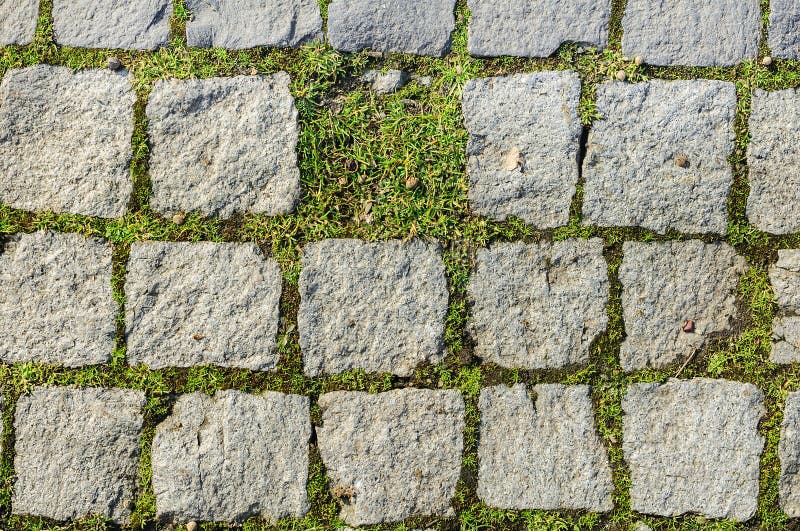 Cobblestone Texture with Grass between Blocks Stock Photo - Image of ...
