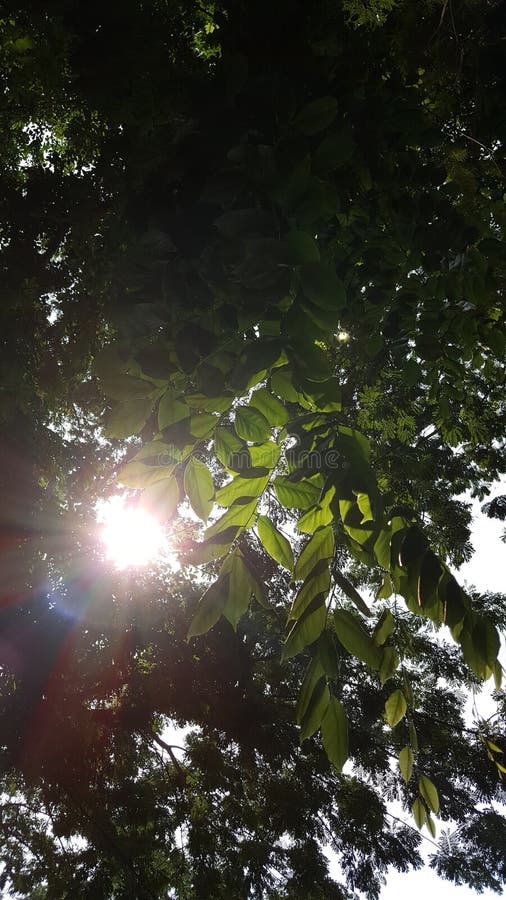 Missing under sunshine stock photo. Image of missing - 96196966