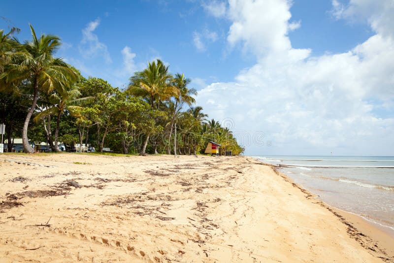 Mission Beach North Queensland Australia Stock Photo - Image of tree ...