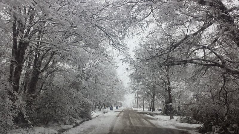 Delta snow stock photo. Image of mississippi, snow, hollyridge - 132390660