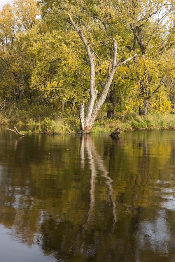 Mississippi River Backwaters in Autumn Stock Photo - Image of colorful ...