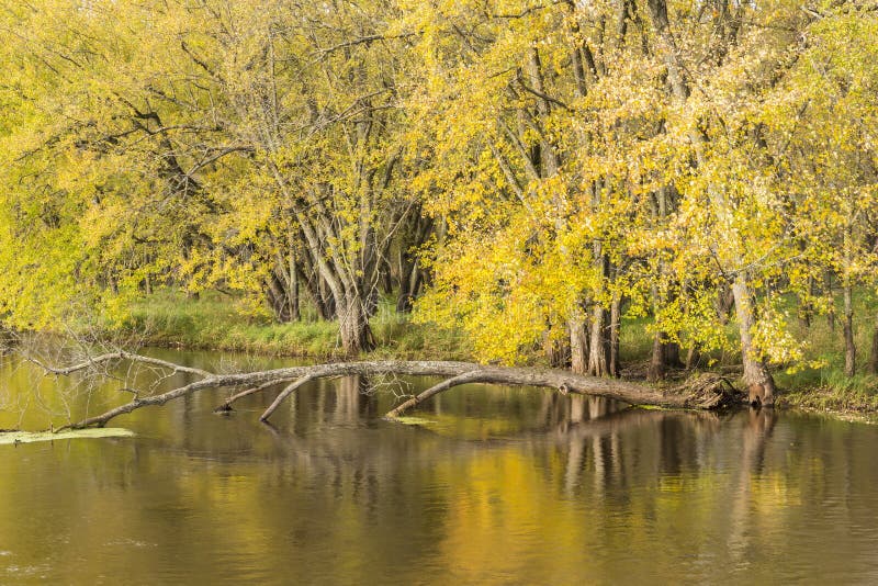 Mississippi River Backwaters in Autumn Stock Image - Image of colorful ...