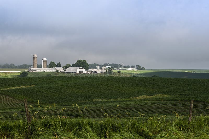 111 Missouri Harvest Corn Stock Photos - Free & Royalty-Free Stock ...
