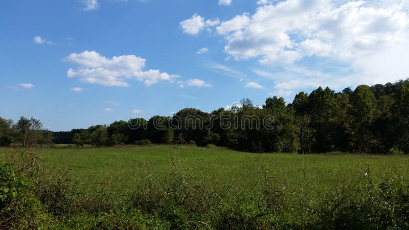 Missouri field stock photo. Image of missouri, trees - 90640662