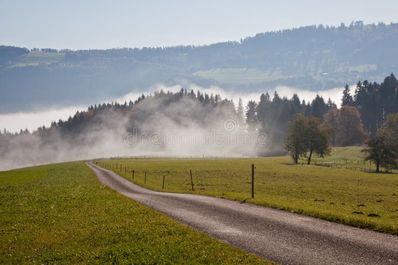 Into the mist stock image. Image of road, path, mist - 22392727