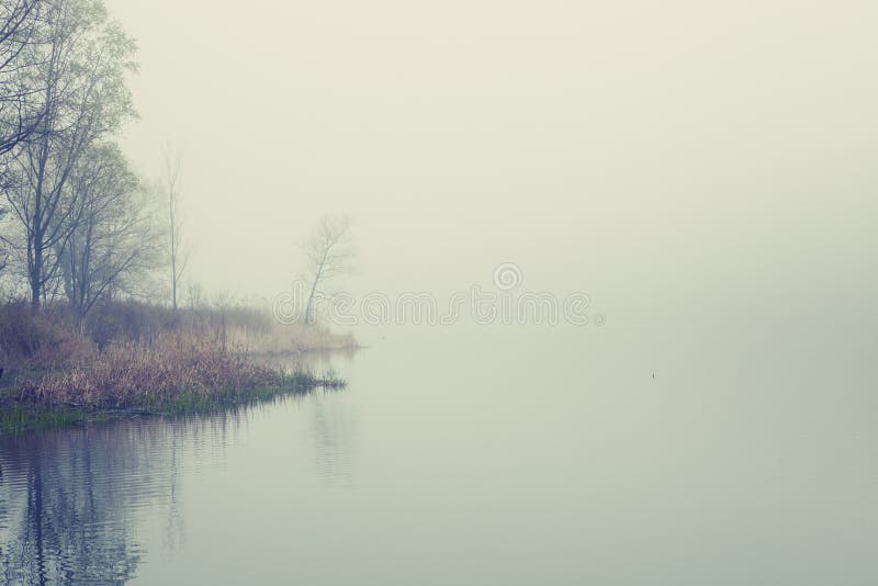 The Mist stock photo. Image of calm, mist, scenery, travel - 24410856