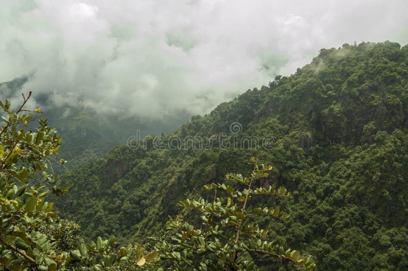Mist Above the Catherine Water Falls Kothagiri Stock Photo - Image of ...