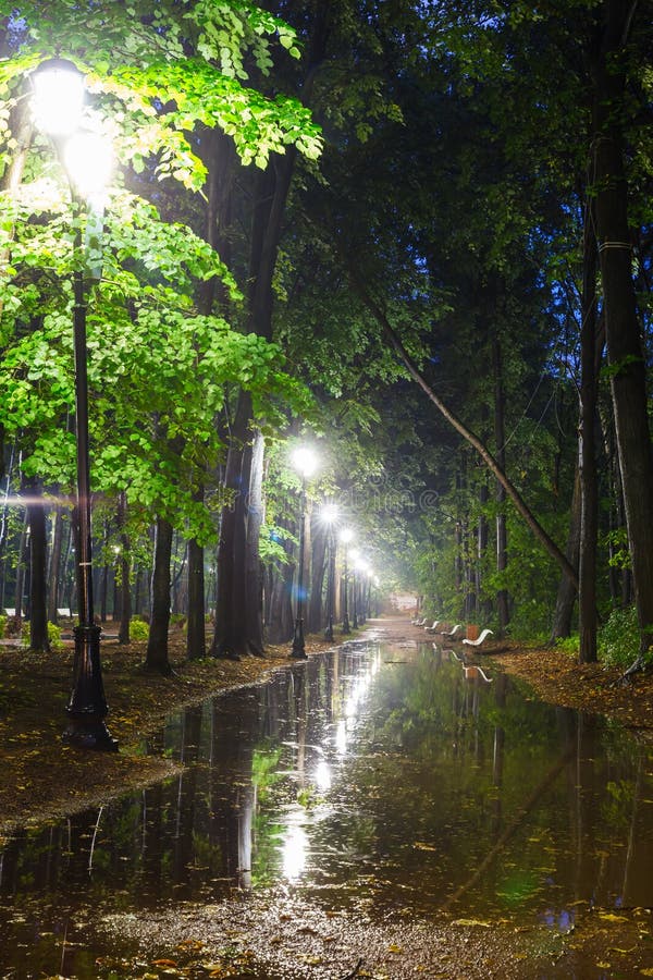 Mist, Benches on Pavement in Light Lantern at Night Stock Photo - Image ...