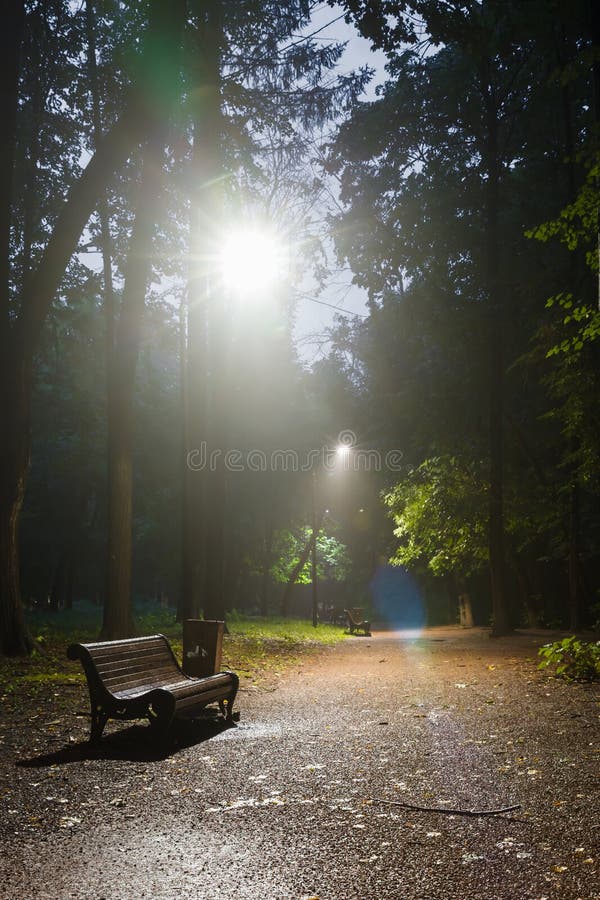 Mist, Benches on Pavement in Light Lantern at Night Stock Photo - Image ...
