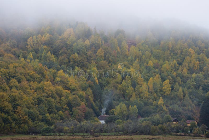Mist Covering an Autumn Forest in the Morning Stock Photo - Image of ...