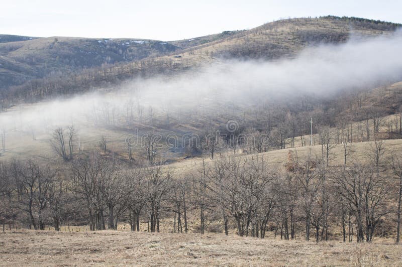 Mist Covering the Countryside Stock Image - Image of forest, rural ...