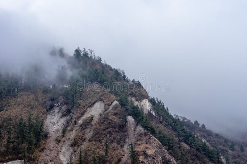 Mist Covering Tree Covered Hillside Stock Image - Image of storm, mist ...