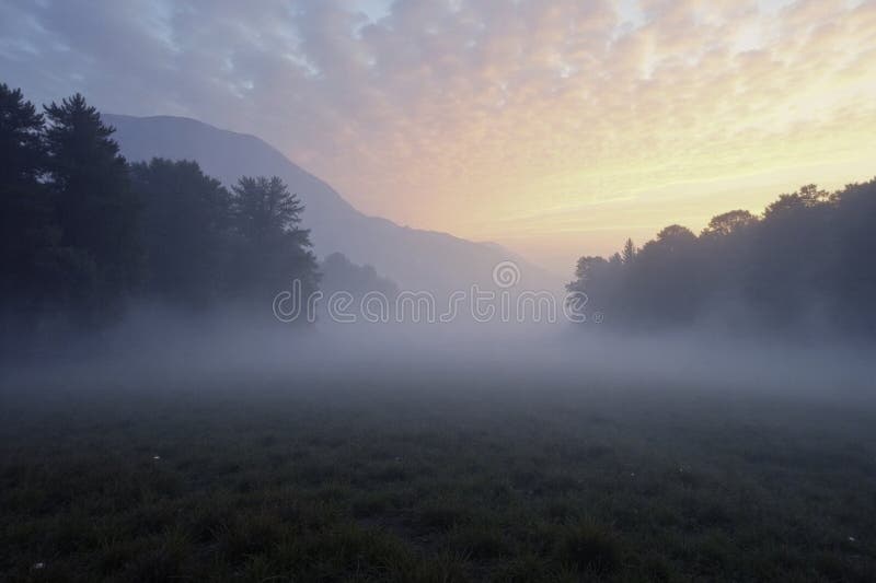 Mist Creeps Over the Ground in the Early Morning Fog, Elevation, Chilly ...