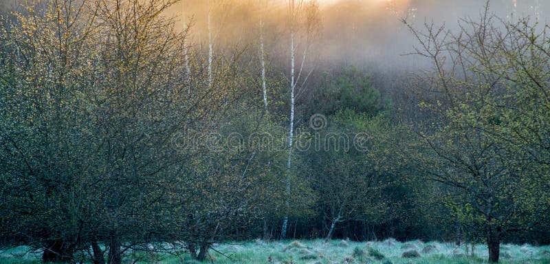 Spring mist during sunrise stock image. Image of light - 115110307