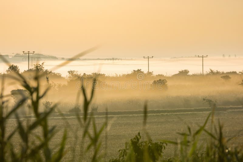Mist fields at dawn stock photo. Image of scene, morning - 141764136