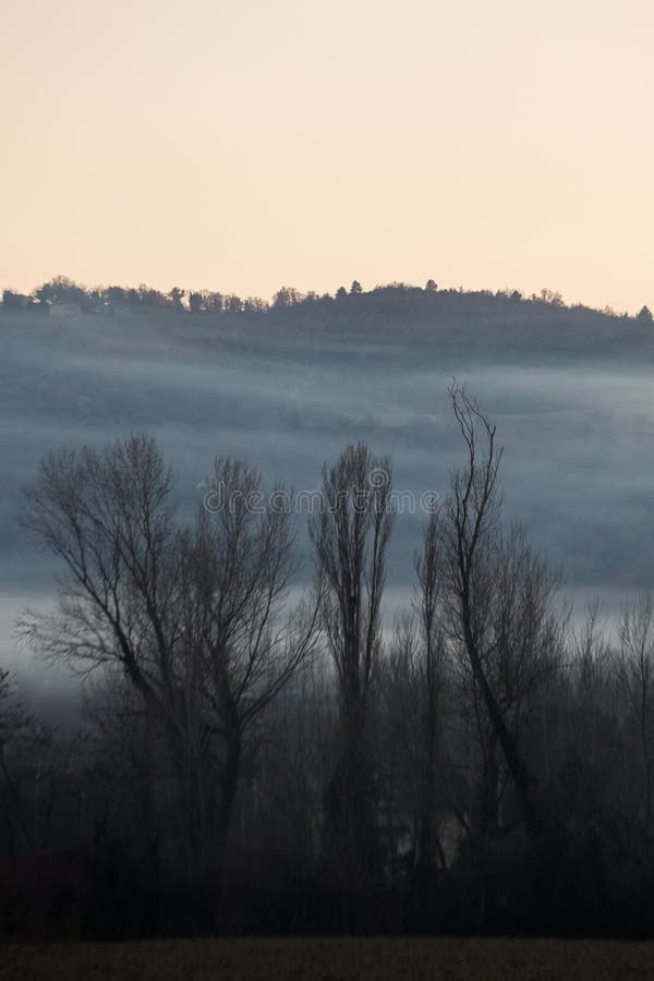 Bare Trees at Dusk, with Full Moon Behind Them Stock Photo - Image of ...