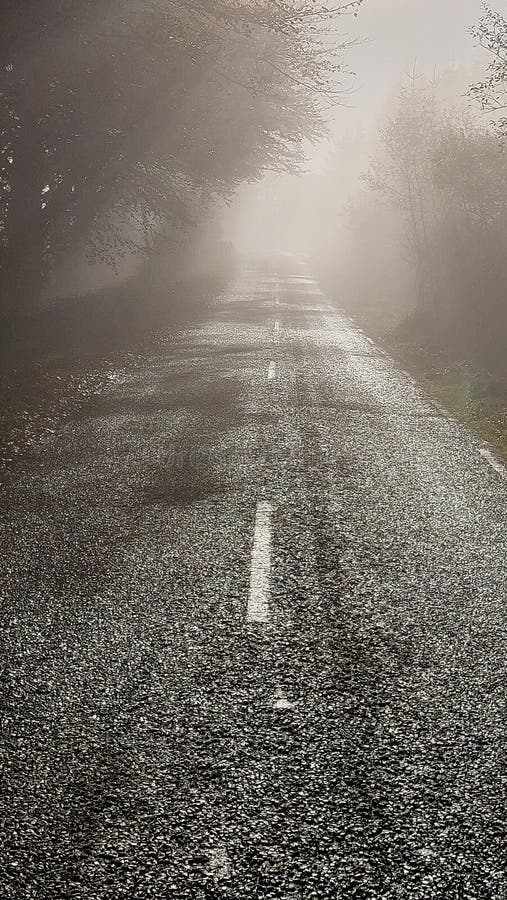 Mist on the forest road stock image. Image of winter - 234029781