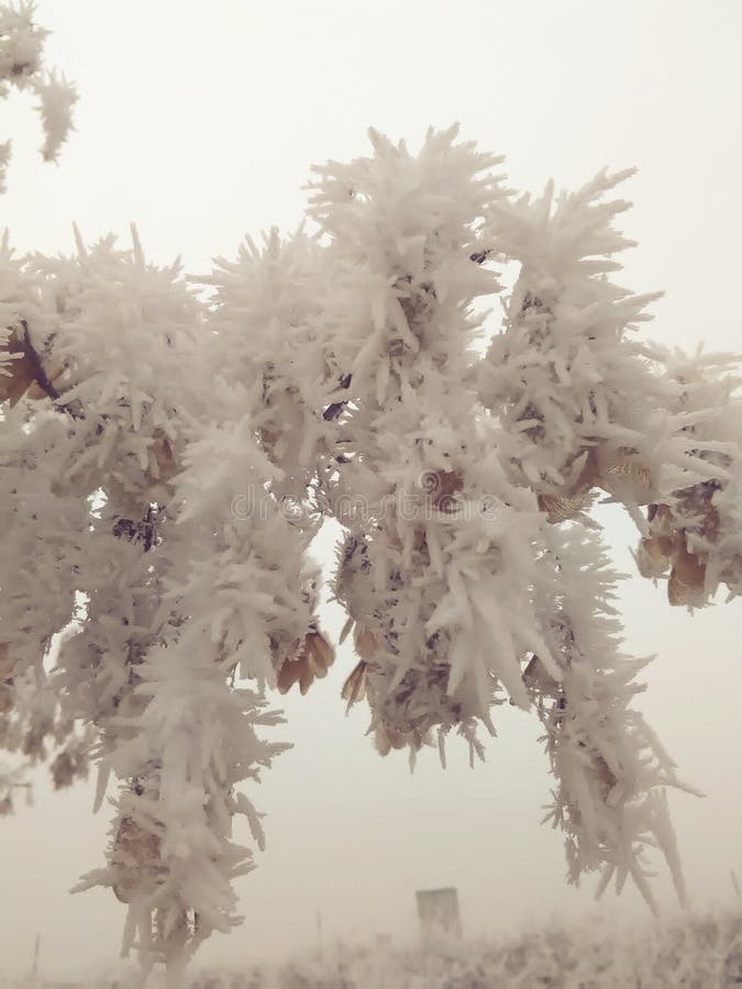 Mist on a frozen lake stock photo. Image of snow, closeup - 130162704