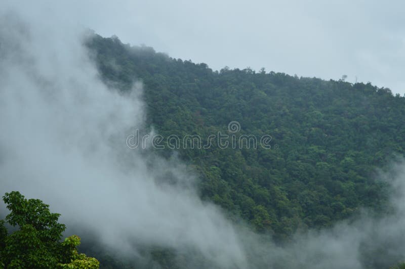 Mist on Green Mountain View from a Rain Forest Stock Photo - Image of ...