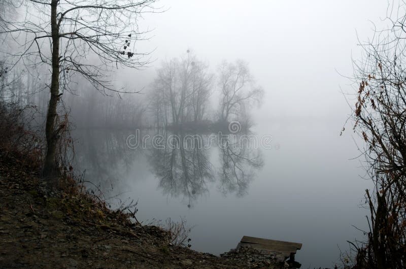 Mist on a lake stock image. Image of copy, branch, blue - 46647483