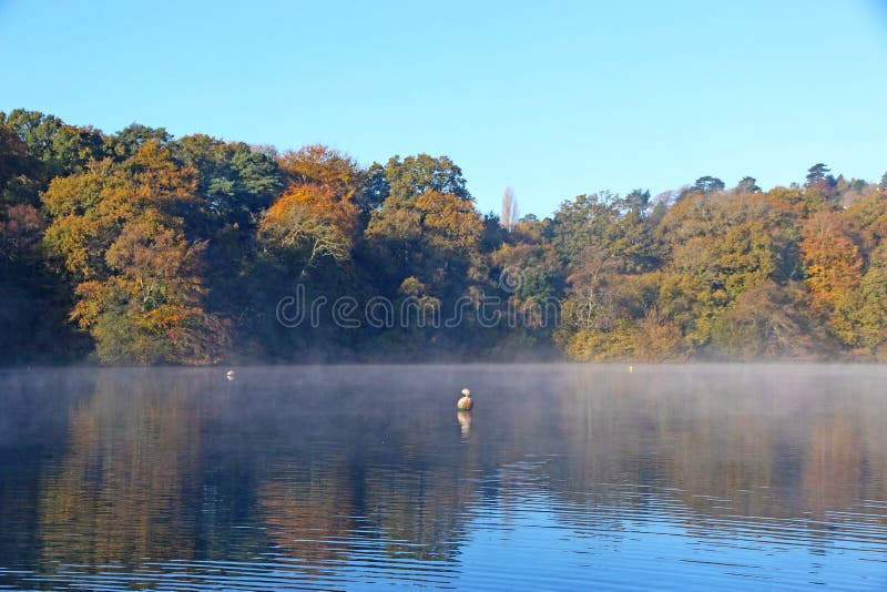 Mist on the Lake at Decoy Country Park Stock Image - Image of devon ...