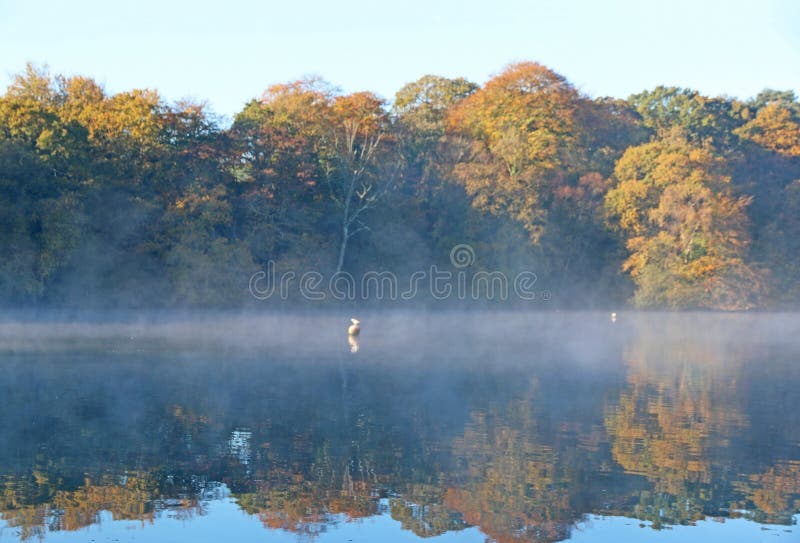 Mist on the Lake at Decoy Country Park Stock Image - Image of beauty ...