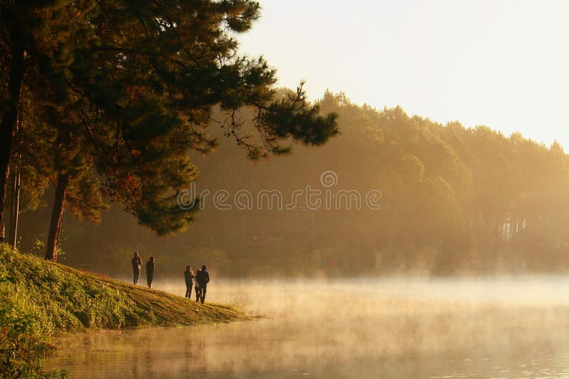 The mist on Lake editorial photography. Image of plant - 82907537