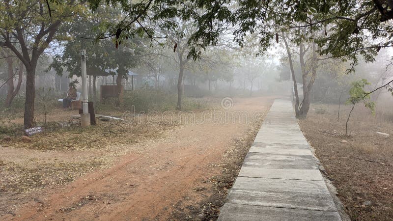 Early Morning Mist in a Farm Near Hyderabad Stock Image - Image of ...