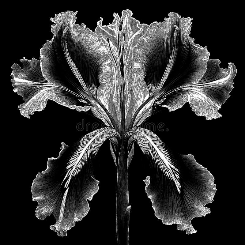 The Mist of life points stock illustration. Illustration of effect ...