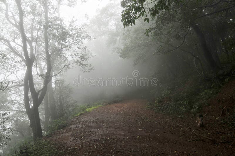 Monsoon Biome Stock Photos - Free & Royalty-Free Stock Photos from ...