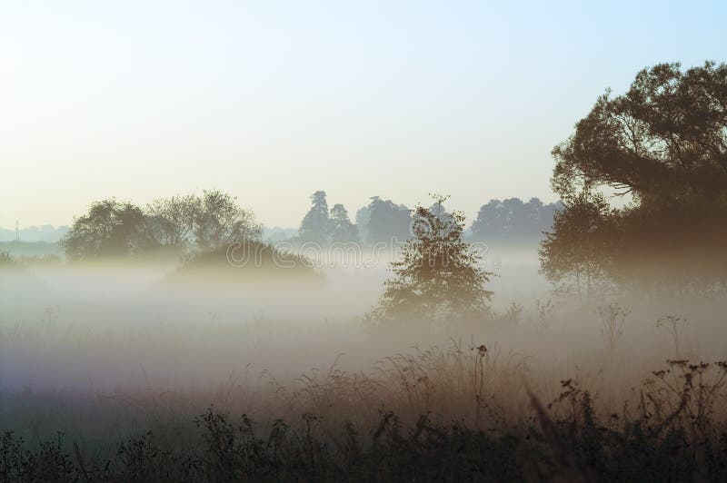 Mist morning stock image. Image of mist, meadow, chill - 1341669