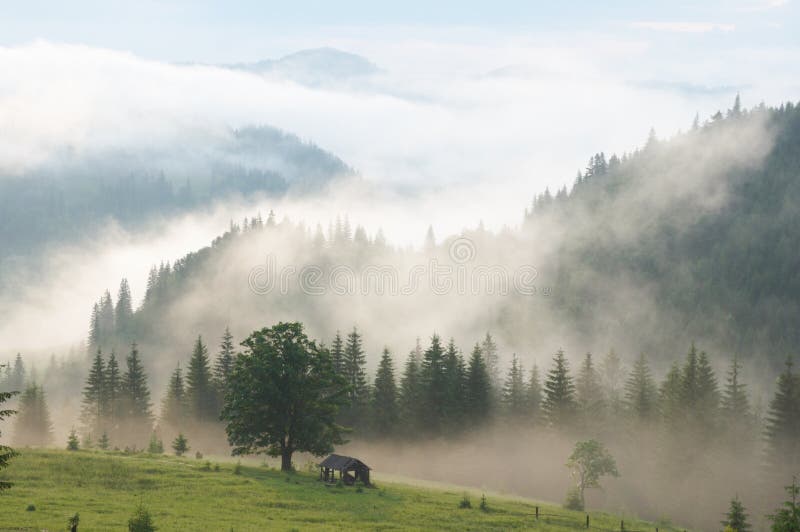 Mist in mountain stock image. Image of dense, mist, cloud - 6694837