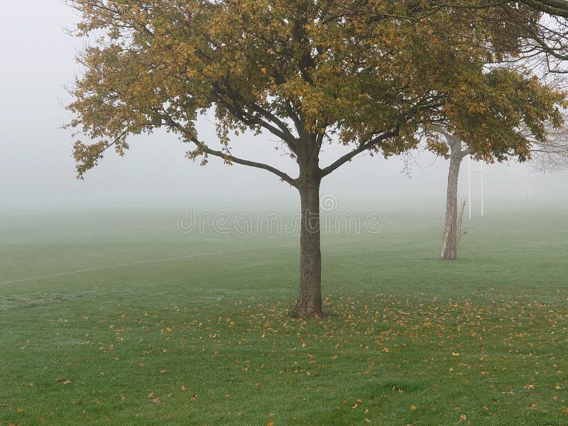 The Mist of a November Morning Stock Image - Image of mist, prairie ...