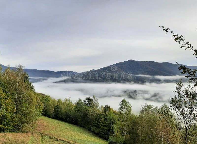 Mist-ocean stock photo. Image of water, landscape, tree - 266058288