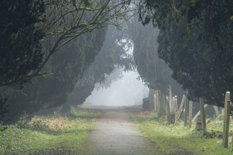 Mist in the Old Cemetery Southampton Stock Image - Image of misty ...