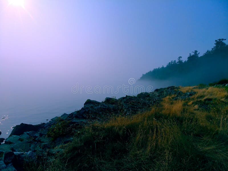 Mist once the Beach stock image. Image of mist, pacificnorthwest ...