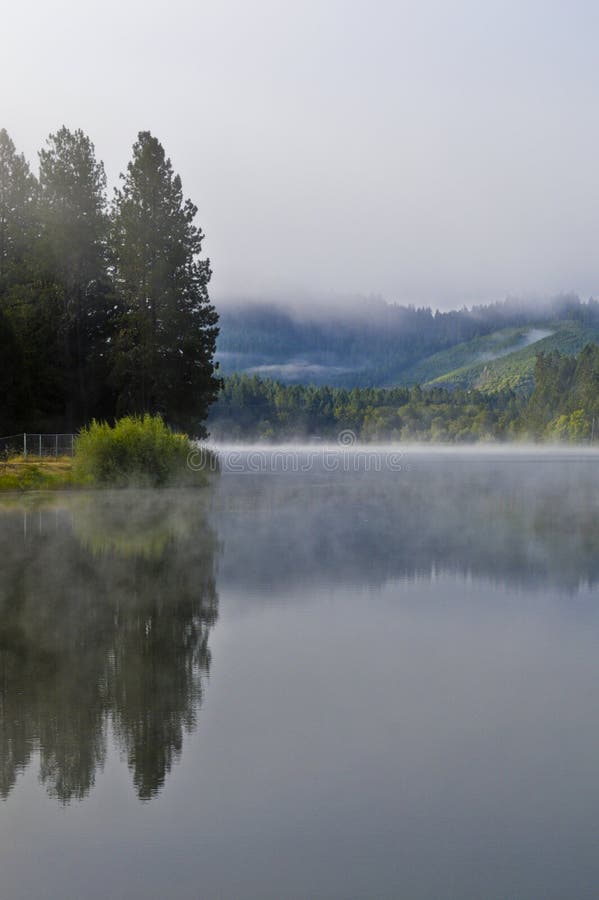 Mist Op Meer Selmac in Selma Oregon Stock Foto - Image of meer ...