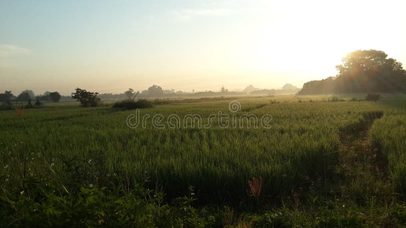 The Mist Over the Farm. stock image. Image of year, mist - 137119289