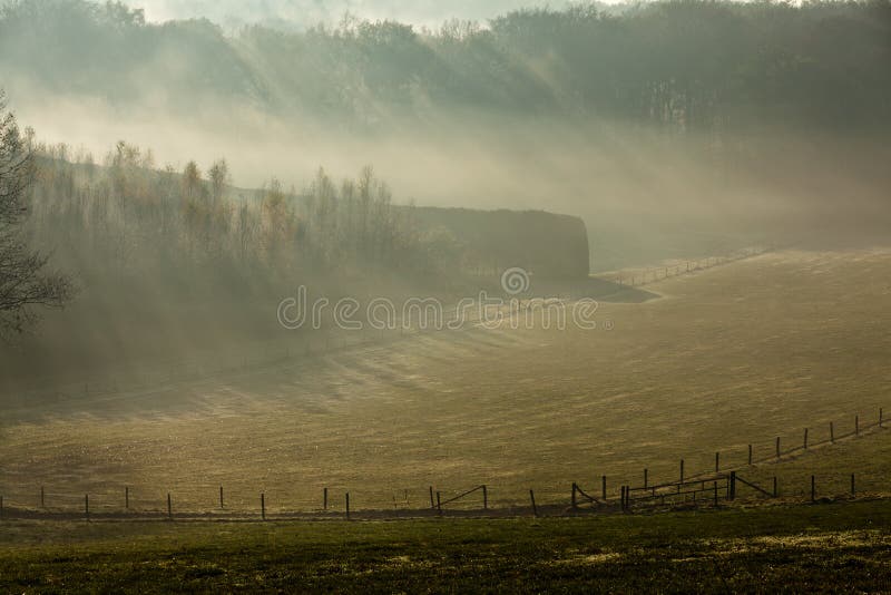 Mist over field stock photo. Image of hill, landscape - 22132718