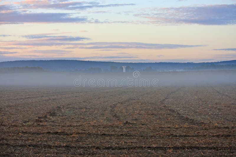 Mist over a field stock image. Image of gold, headlights - 65175057