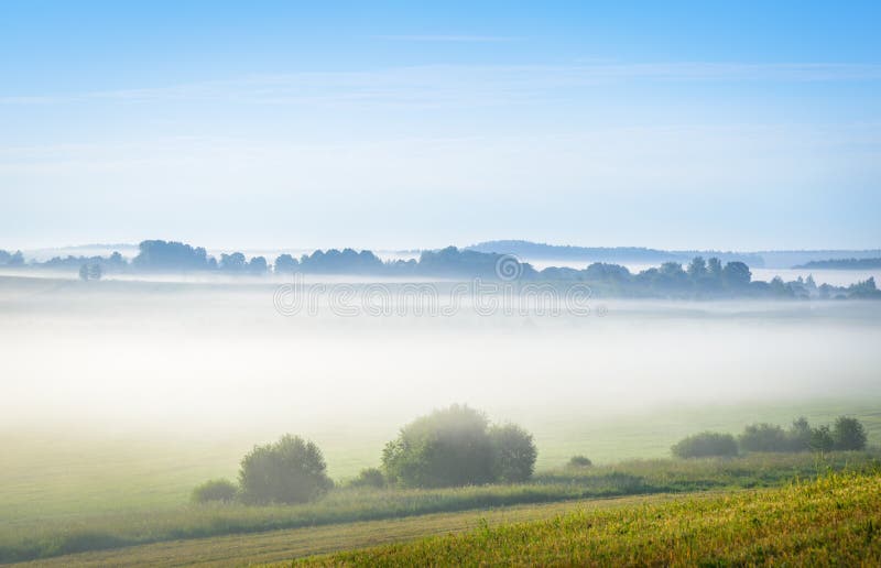 Mist over the fields stock image. Image of fresh, grass - 55809283