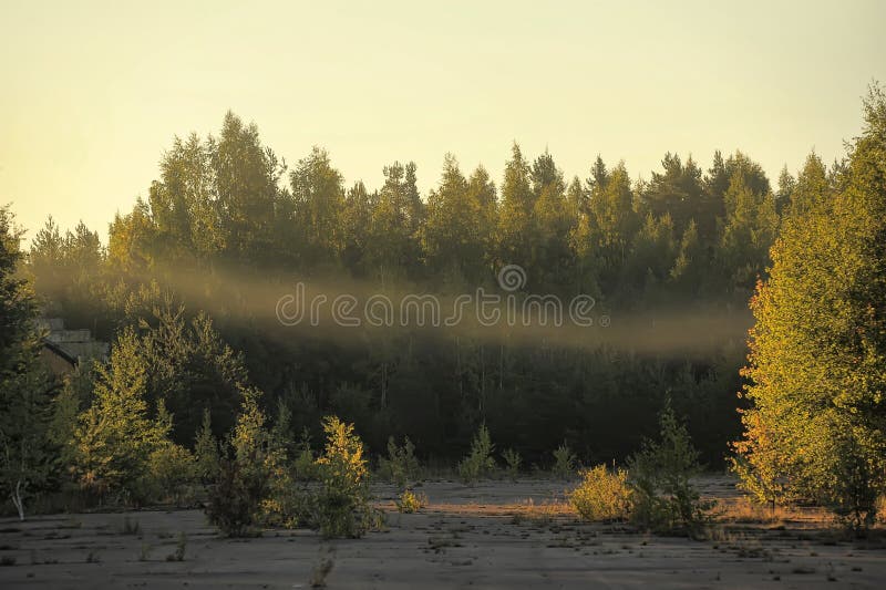 Mist over water stock image. Image of serene, golden, light - 5669915