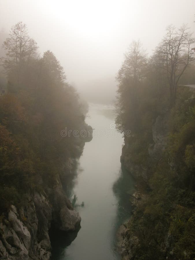 Mist over forest river. stock image. Image of morning - 27677323